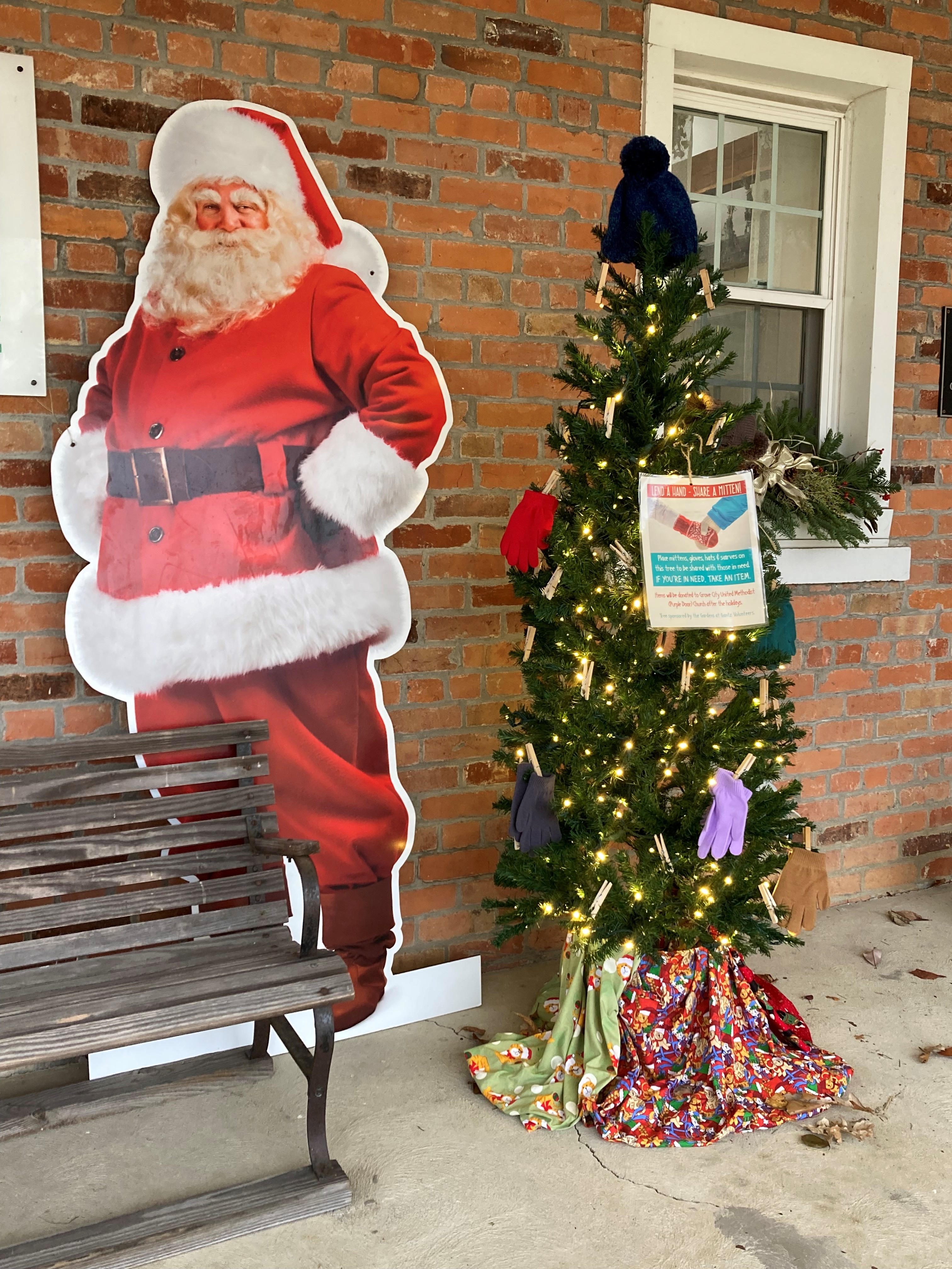 mitten tree – The Gardens at Gantz Farm